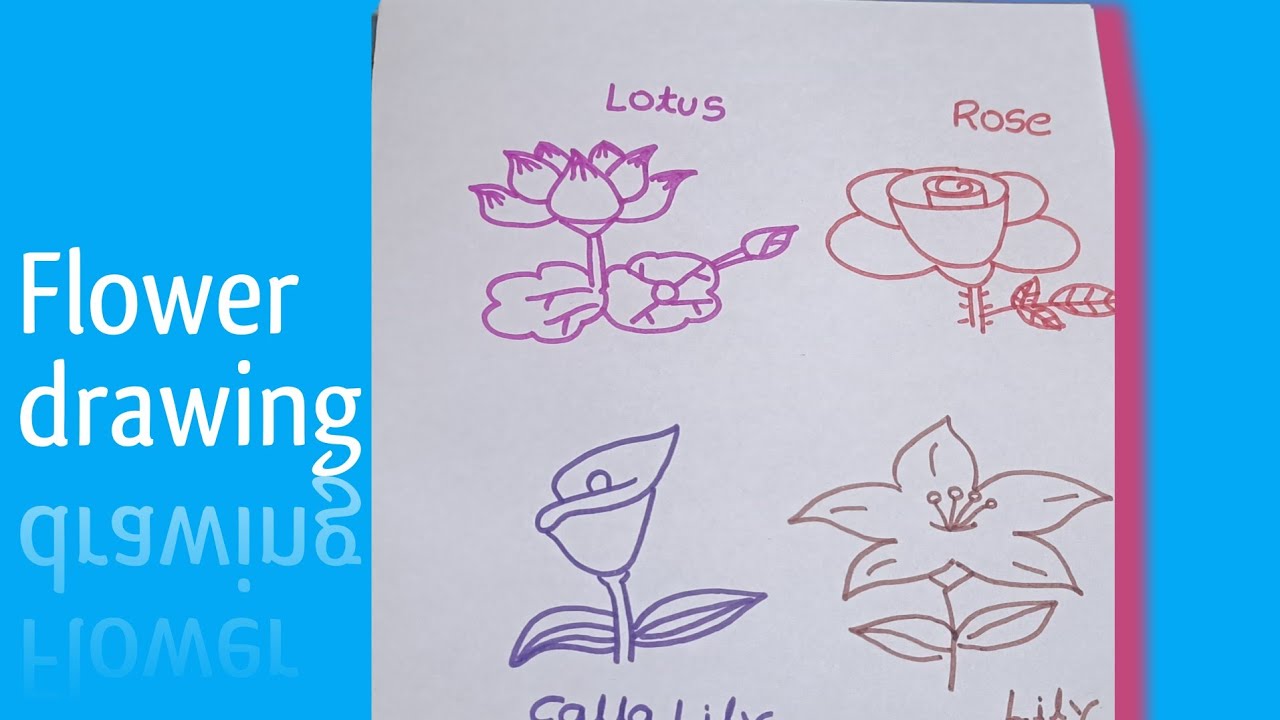 How to Draw Different types of Flowers easy step by step #art # ...