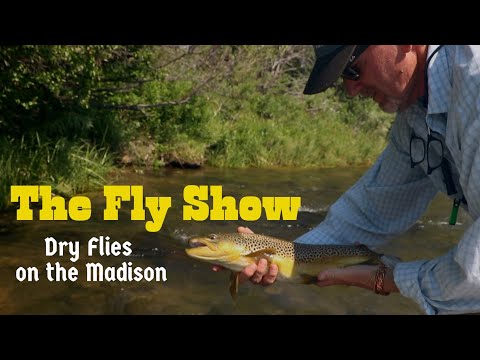 KELLY GALLOUP Fishing Dry Flies on the Madison River
