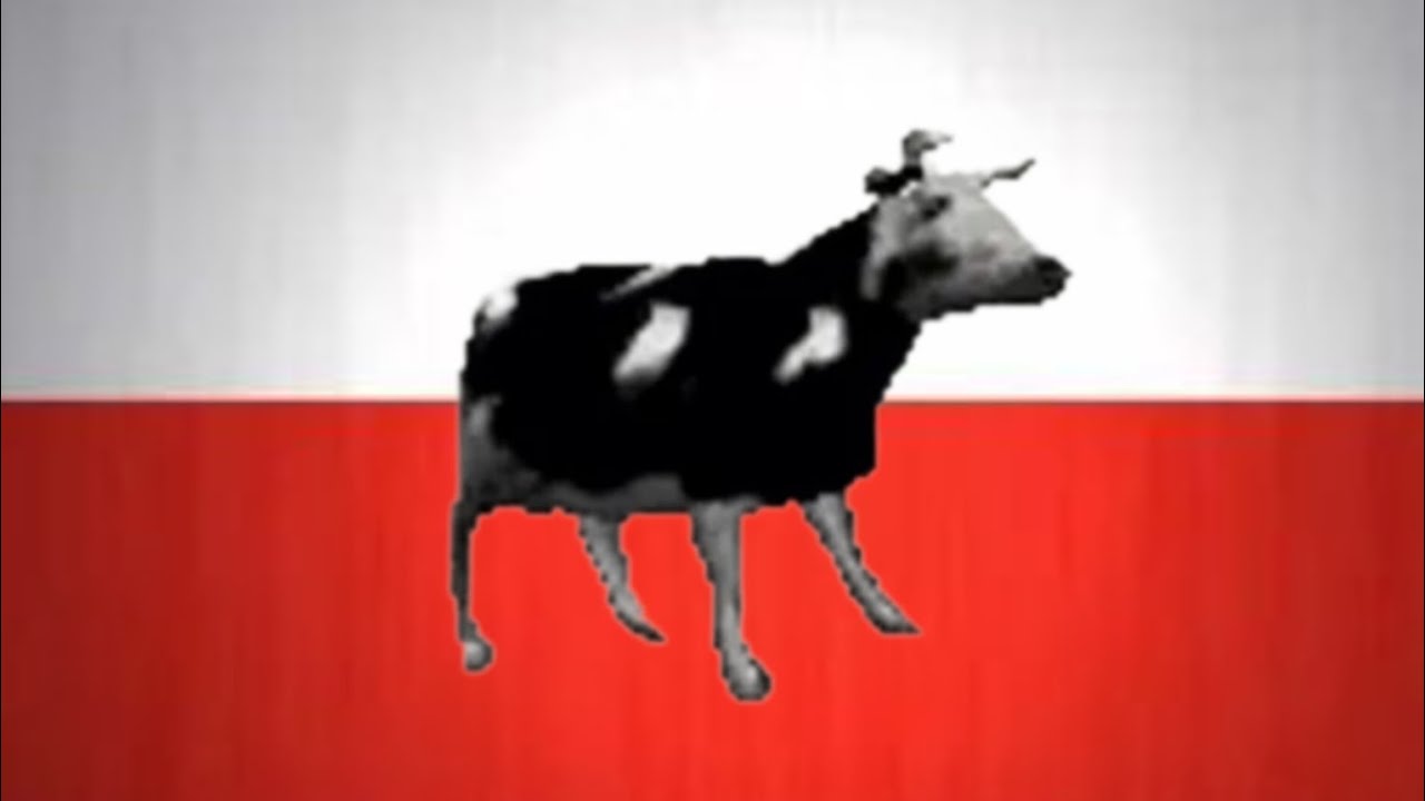 Cypis - Dancing Polish Cow[.SOS._REMIX] - YouTube