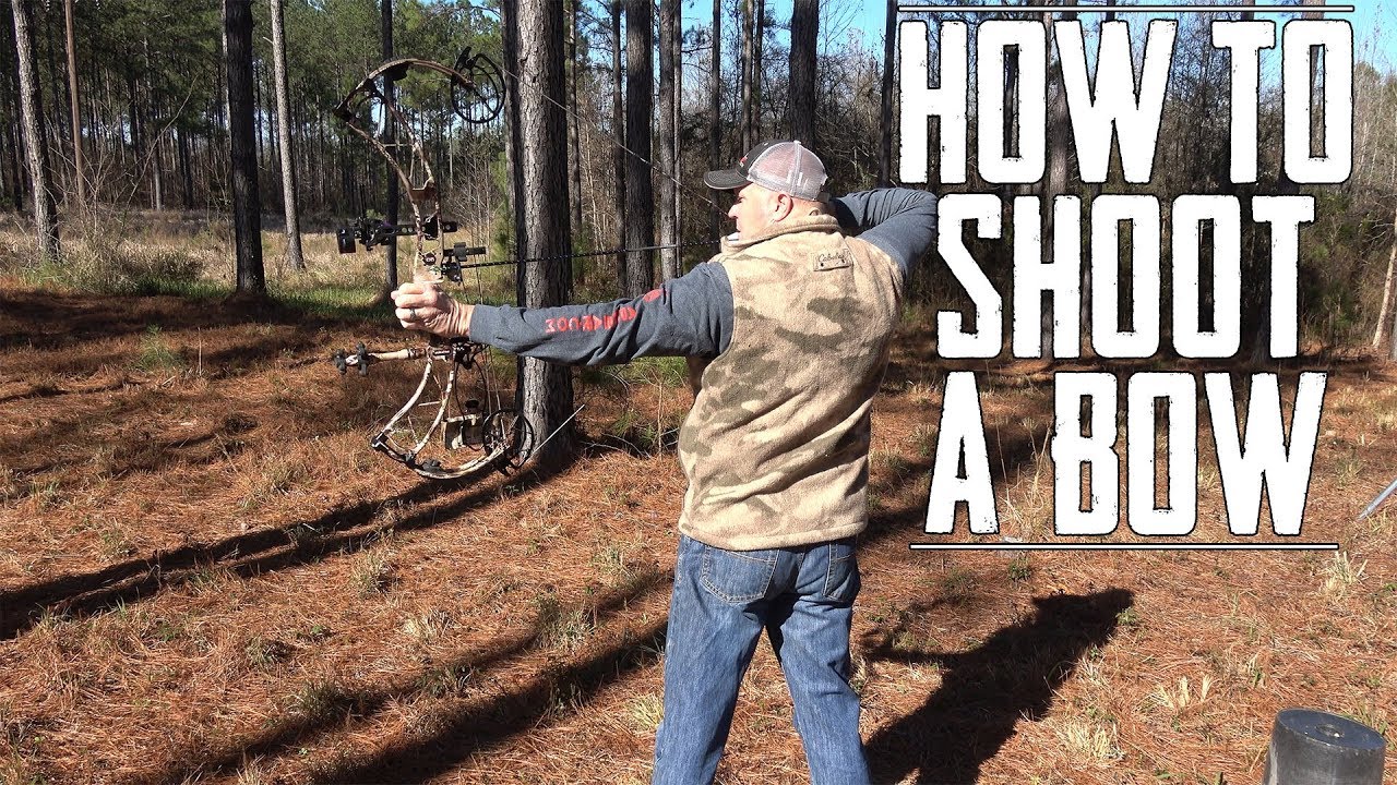 How To Shoot a Bow the correct way. Shooting Tips and Techniques by ...