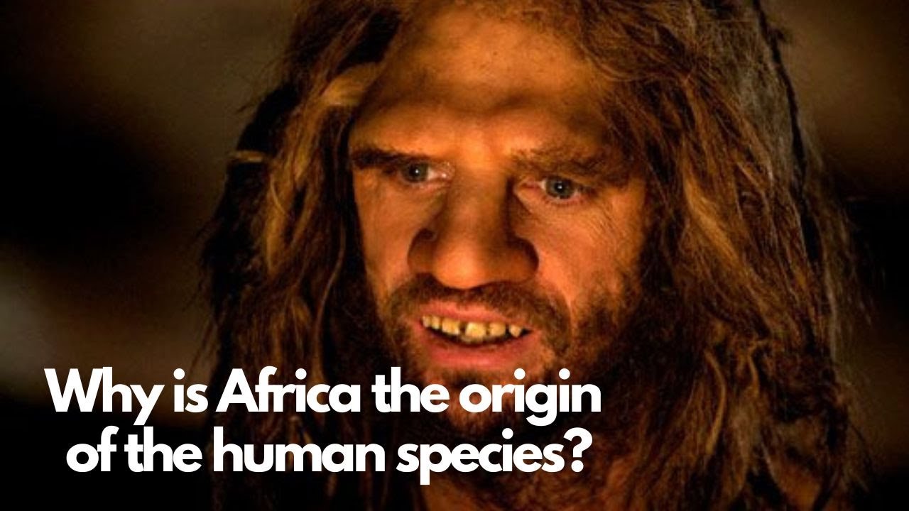 African origin of the modern human species and the different racial ...