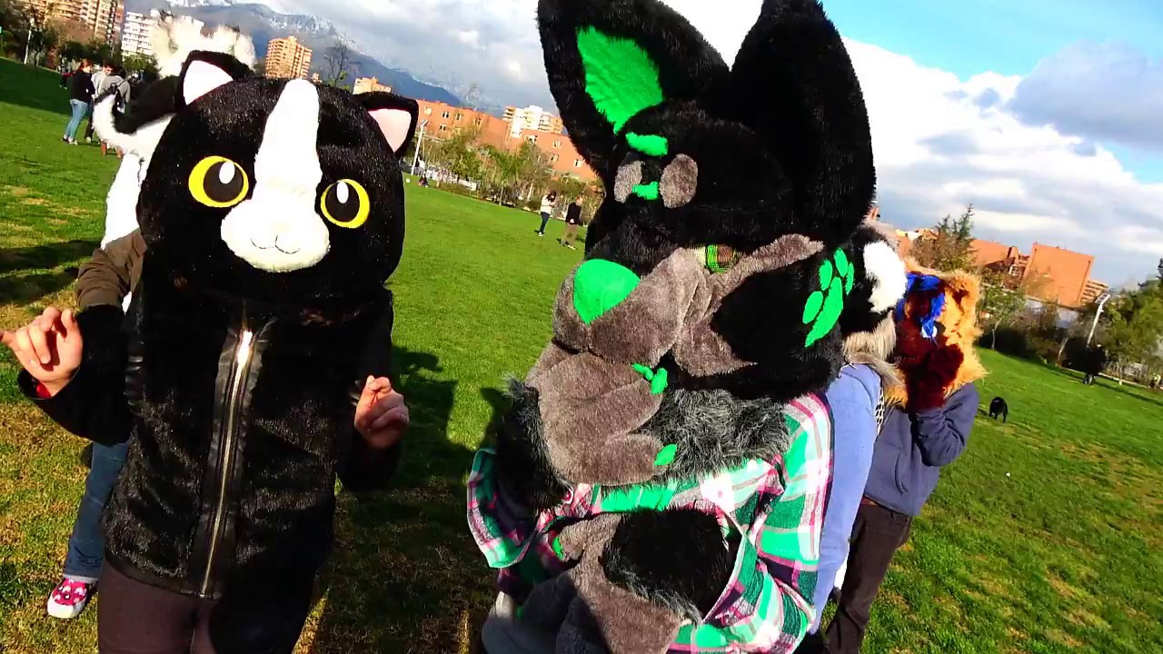 Furry Chile Santiago parque Juan Pablo II Furryversario - YouTube