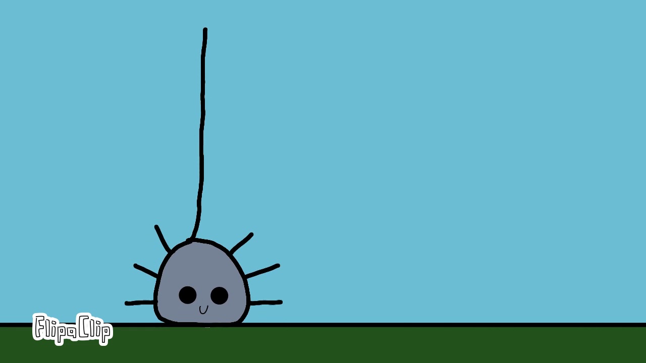 Jumping Spider Animation - YouTube