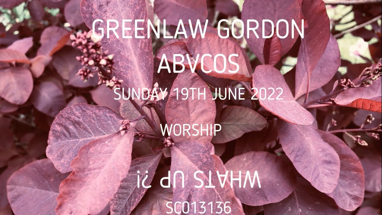 WHAT'S UP ! SUNDAY 19TH JUNE 2022 - YouTube