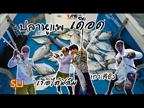 ลงเรือเกาะสีชัง ไล่นก ปลาหูแพเดือด กดกันมันเลย #เรือเกาะสีชัง #SLJ #ปลาหูแพ