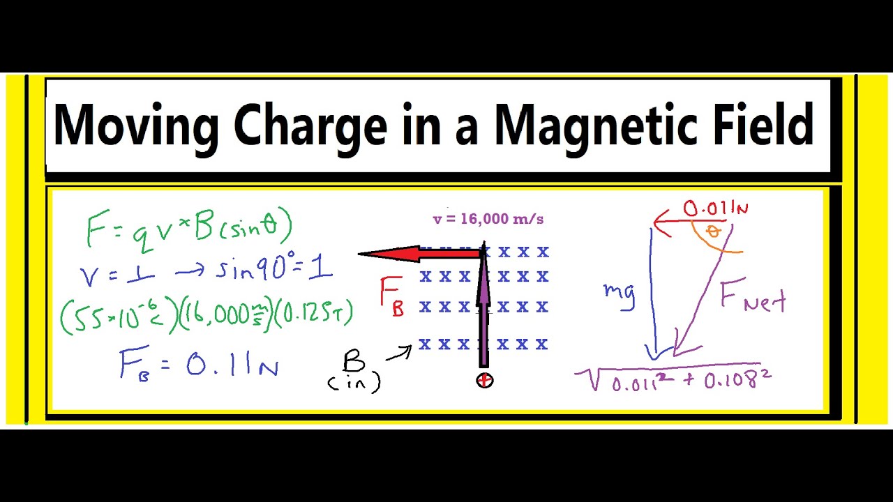Moving Charge in a Magnetic Field (Magnetic Force=? Fnet with Gravity ...