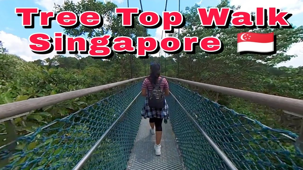 EXPLORE TREE TOP WALK SINGAPORE VLOG ICHA JOURNEY - YouTube