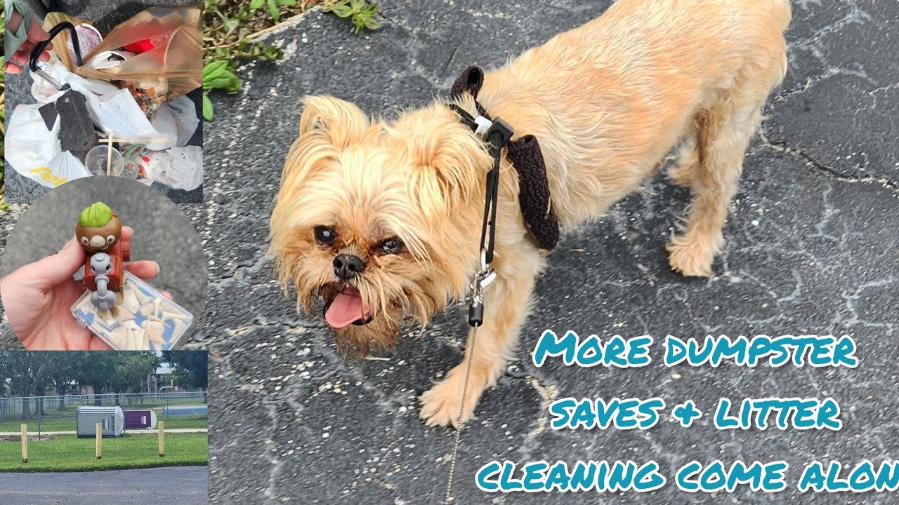 Come walk with us & clean up litter and save stuff from the dumpster ...