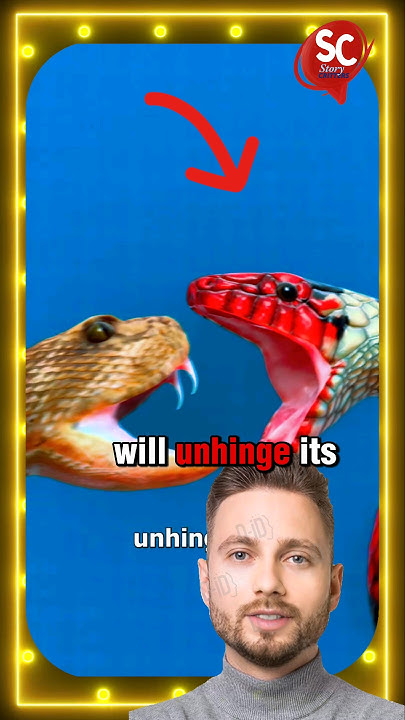 Snakes Animation 🐍. #snake #facts #animation #shortvideo #shorts - YouTube