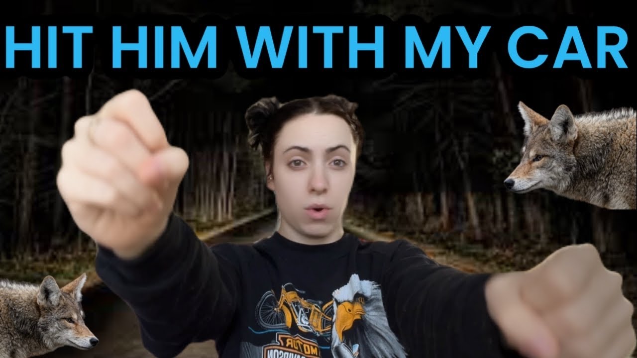 I HIT HIM WITH MY CAR - YouTube