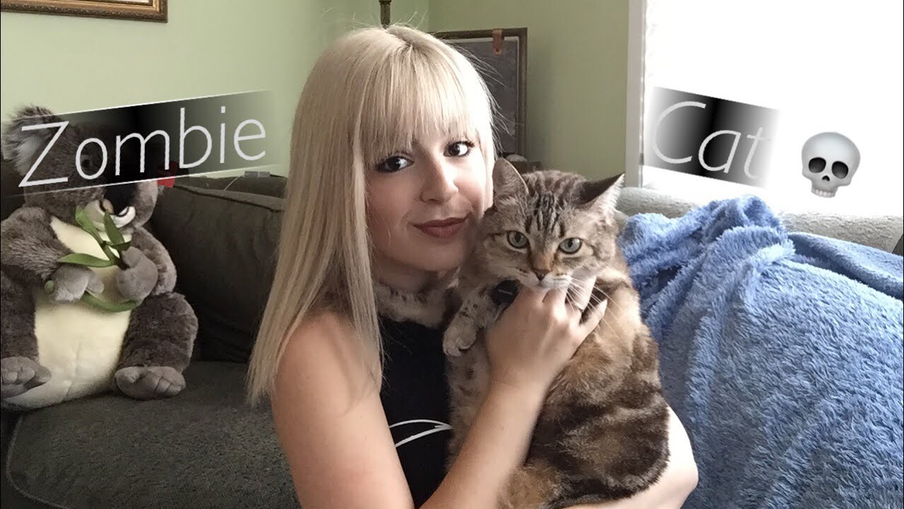 my cat almost died [CC] - YouTube