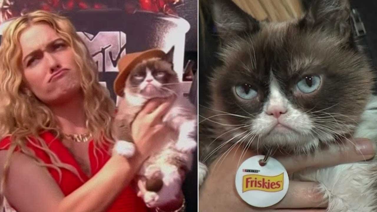 Research reveals cat-human relationship dates back to 10,000 years ...