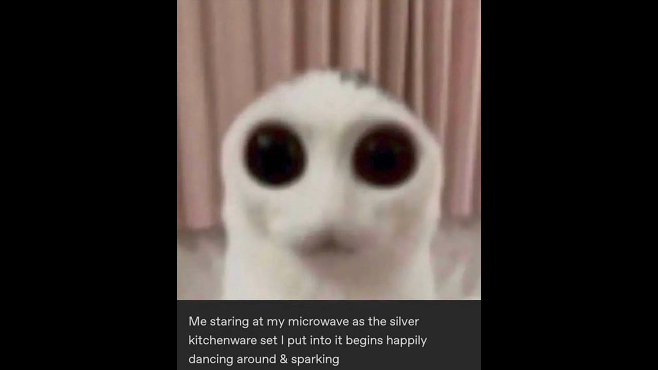 How to install a pre-prepared mod folder in Curseforge - YouTube