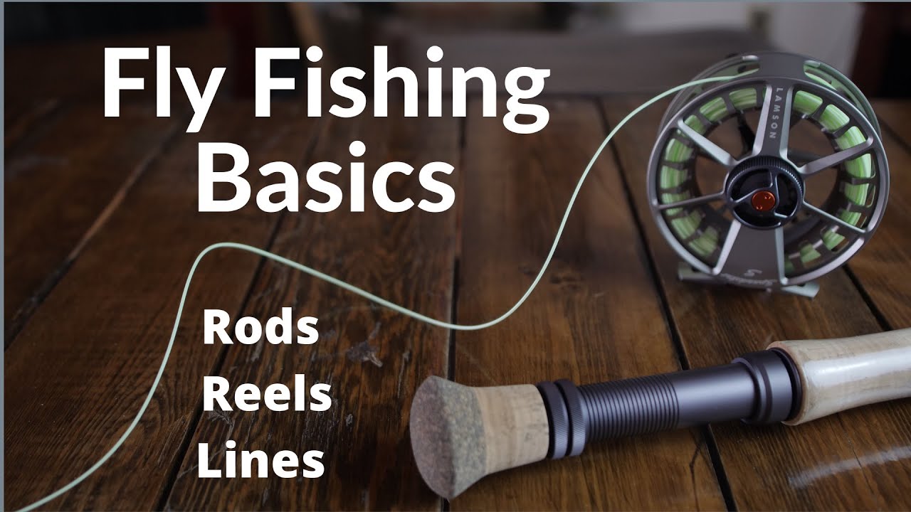 Fly Fishing Basics, Fly Rods, Reels & Lines - YouTube
