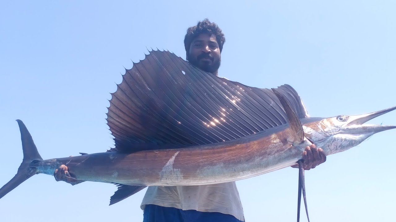 Mayil Kola Fish Catching Video RJ Meenavan #fishcatchingvideos # ...