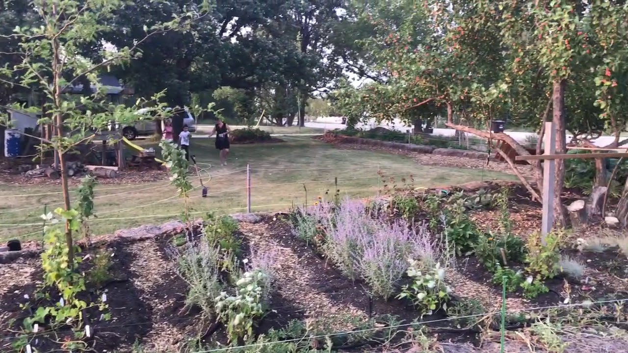 Strawbale Permabeds Suburban Edible Ecosystem (SEE) - YouTube