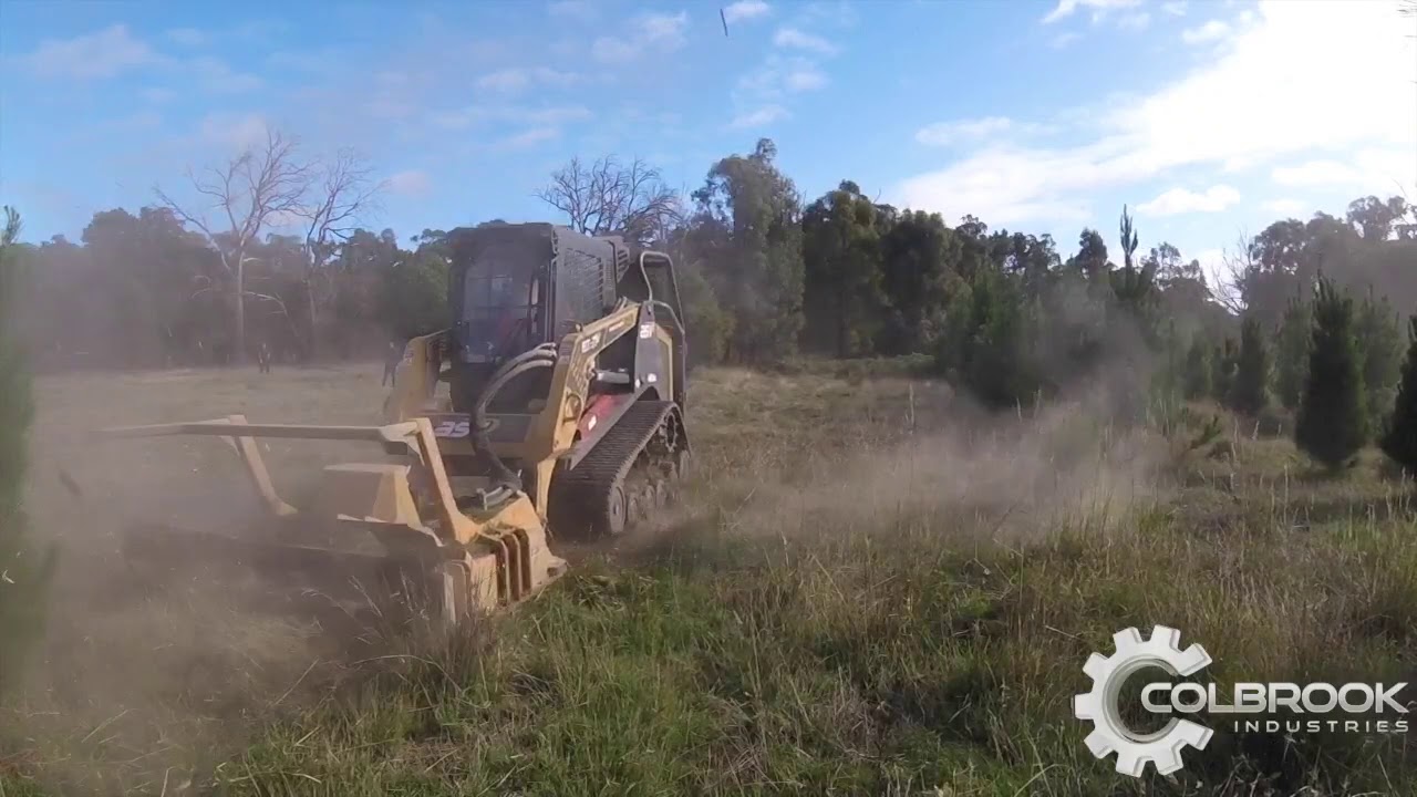 Diamond Mowers Tree Farm Removal with 60” Forestry Disc Mulcher - YouTube