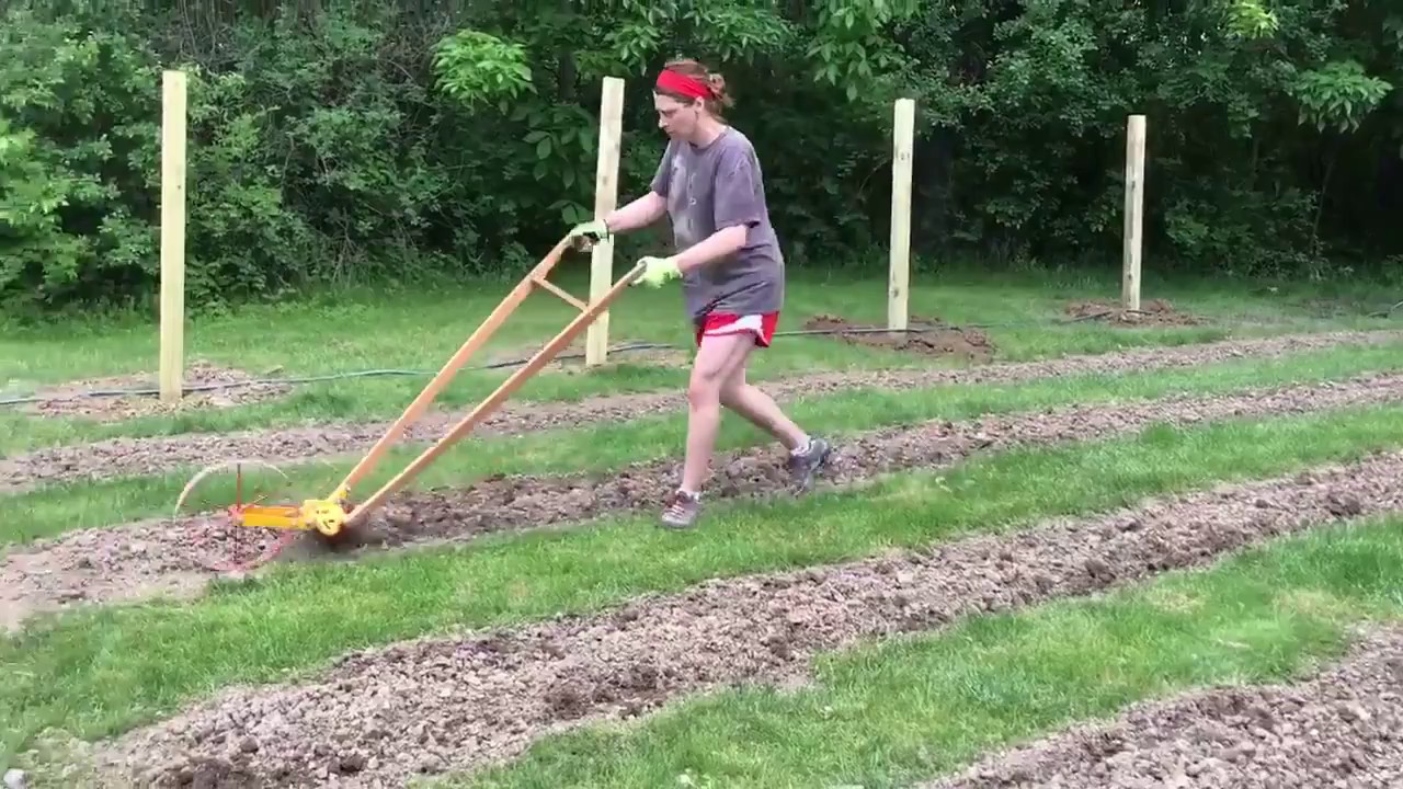 Furrowing the soil for planting with the Red Pig NO. 1 Wheel Hoe - YouTube