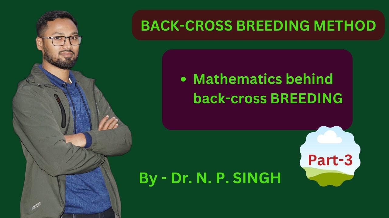 Back cross, Part- 3, breeding procedure, calculation behind/ gene ...