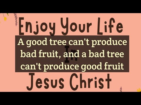Daily Praise 994 - A good tree can't produce bad fruit, and a bad tree ...