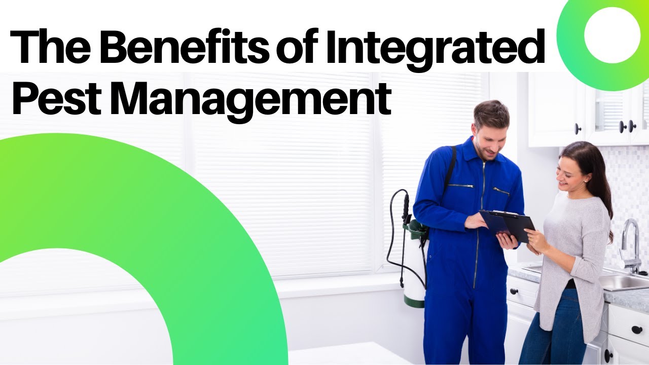 The Benefits of Implementing Integrated Pest Management at your pest ...