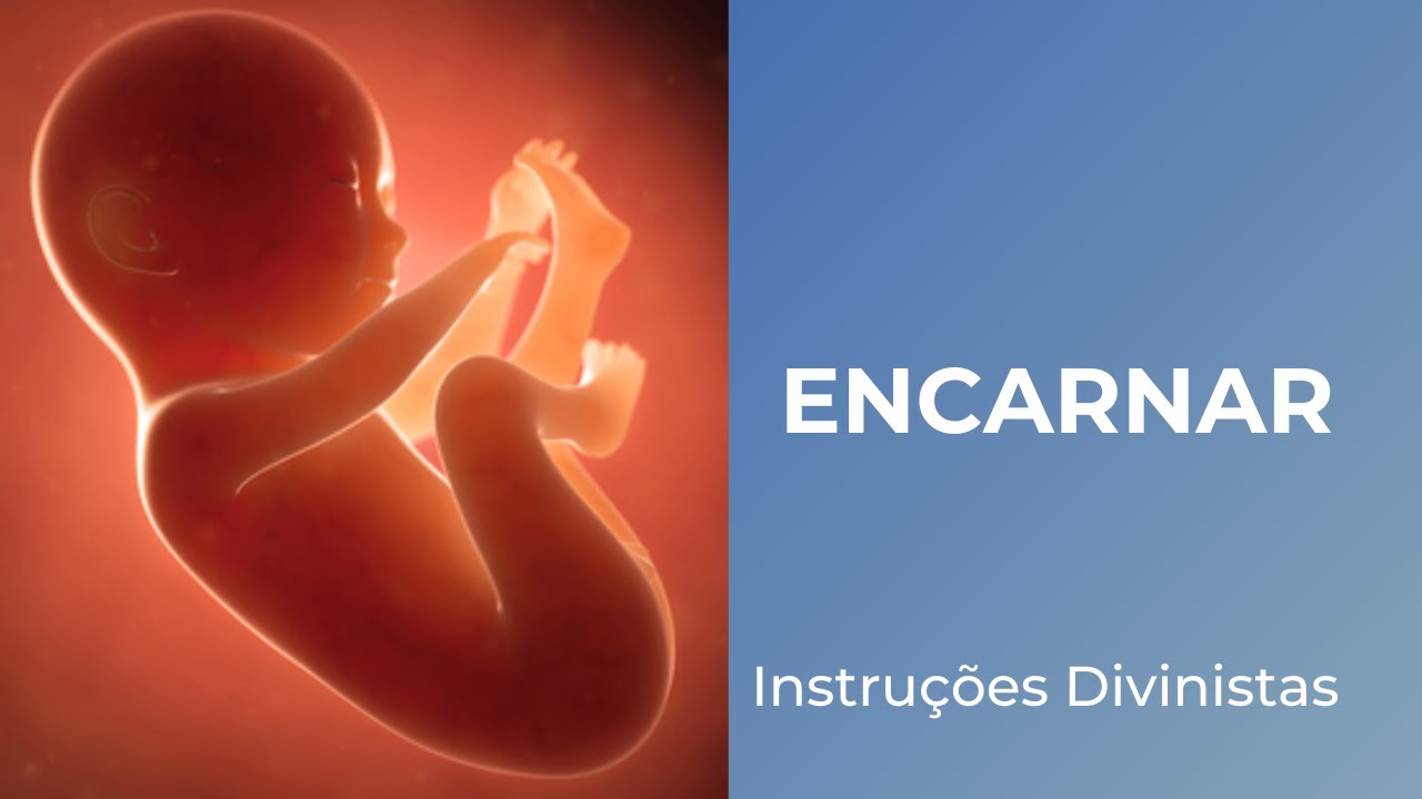 P 24 - Encarnar - YouTube