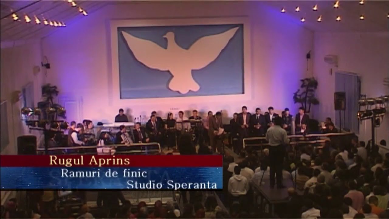 Ramuri de Finic - YouTube