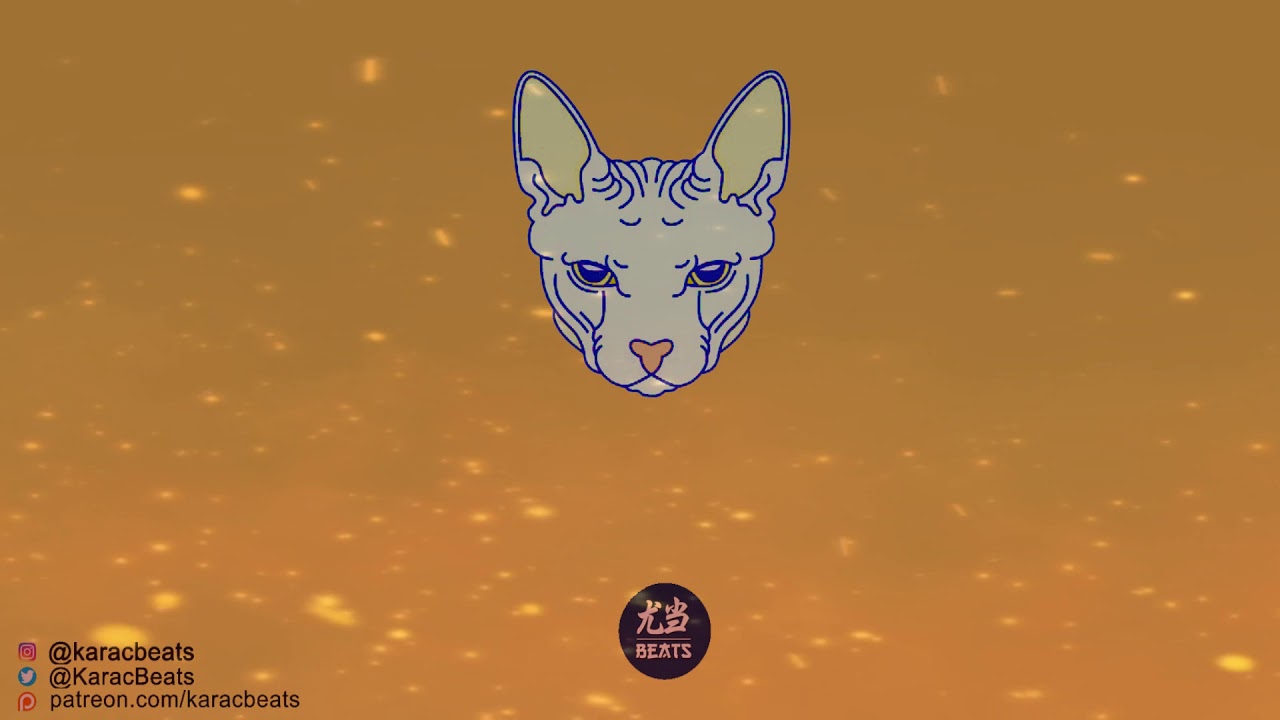 "CAT" - Rap Freestyle Type Beat | Hard Underground Boom Bap Type Beat ...