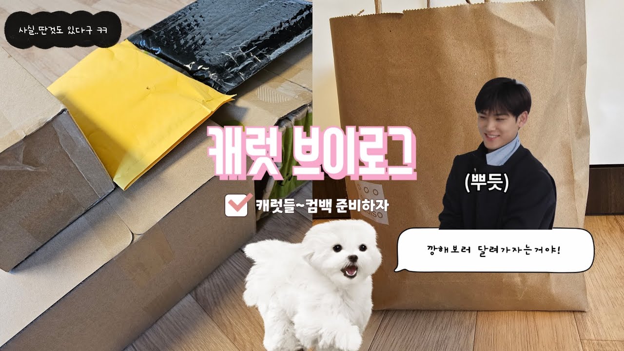 캐럿브이로그15 캐럿들~컴백준비하자과연 컴백준비일까언박싱준등기깡덕질브이로그일상브이로그캐럿브이로그캐럿자매