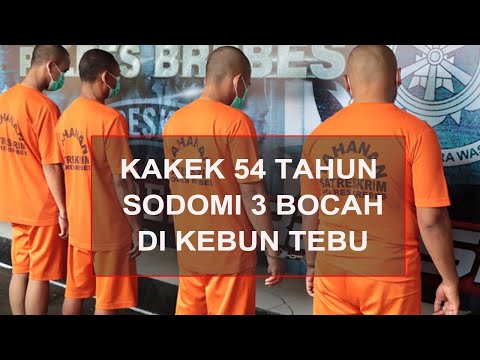 KAKEK 54 TAHUN SODOMI 3 BOCAH DI KEBUN TEBU