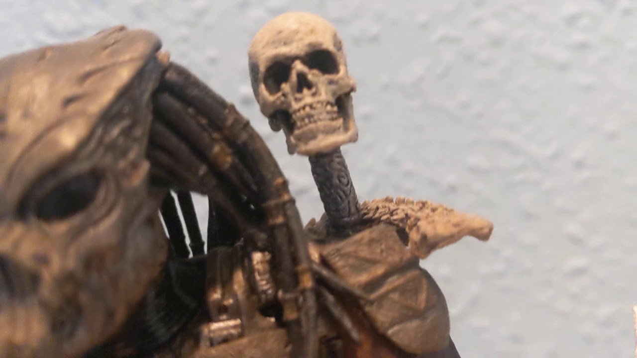 My custom Assassin predator - YouTube