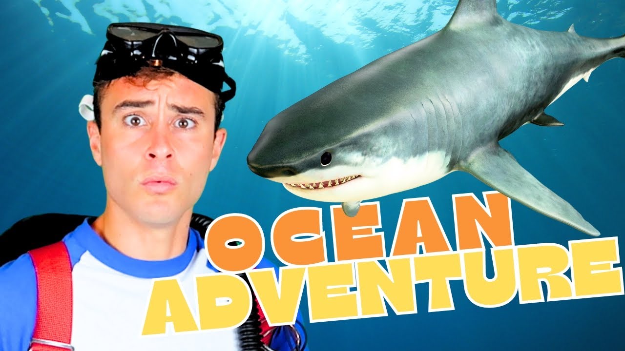 Ocean Adventure Video! Learn About 5 Ocean Animals! - YouTube