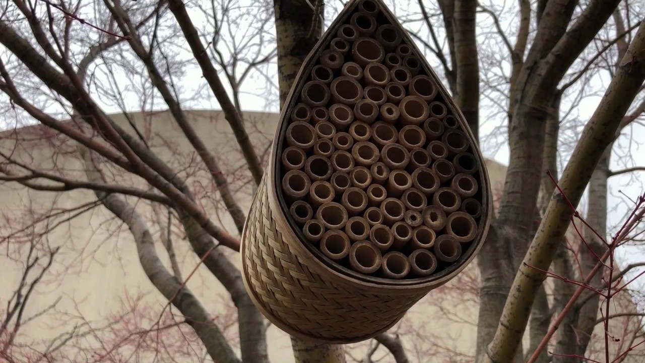 How to: Native Pollinator House Style Three - YouTube