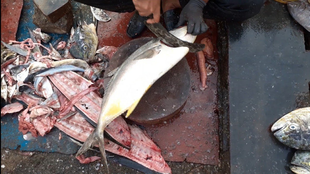 Fish Video | Sonab,Black Pamfert,Mai Mai,Gissar | Fish Export Lahore ...