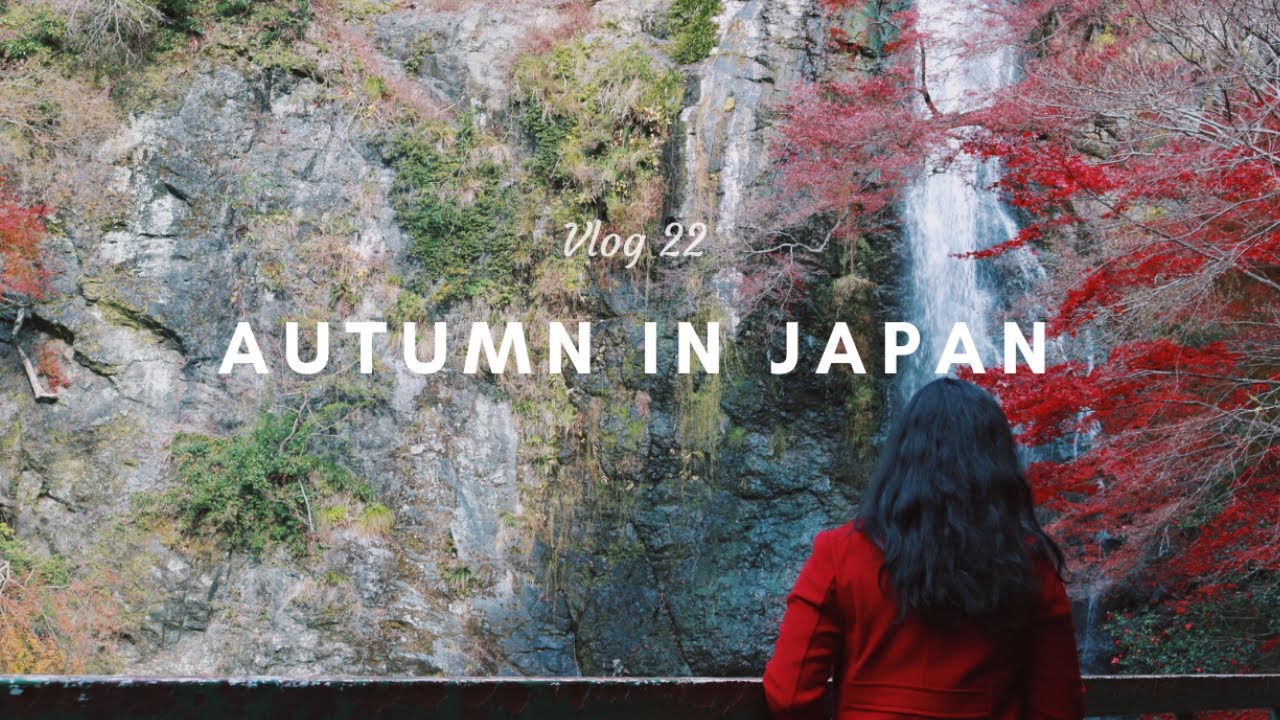 Autumn Slow Living (Minoh Falls, Japan) - YouTube