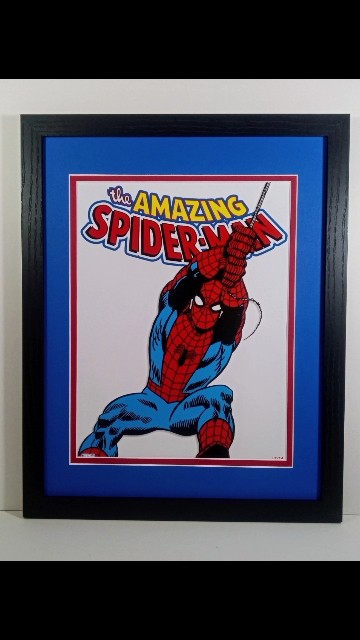 The Amazing Spiderman Display Framed Marvel Photo Poster Picture ...