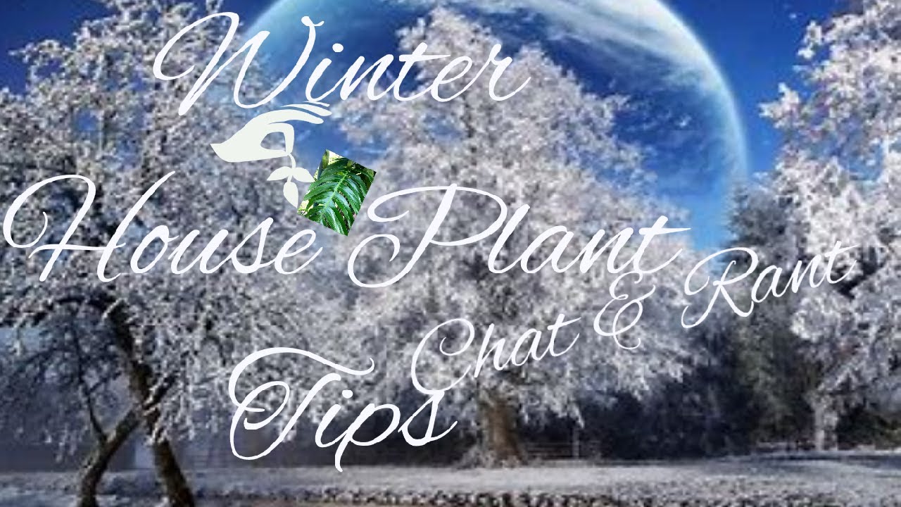 10 Winter Tips Plant Chat & Rants - YouTube