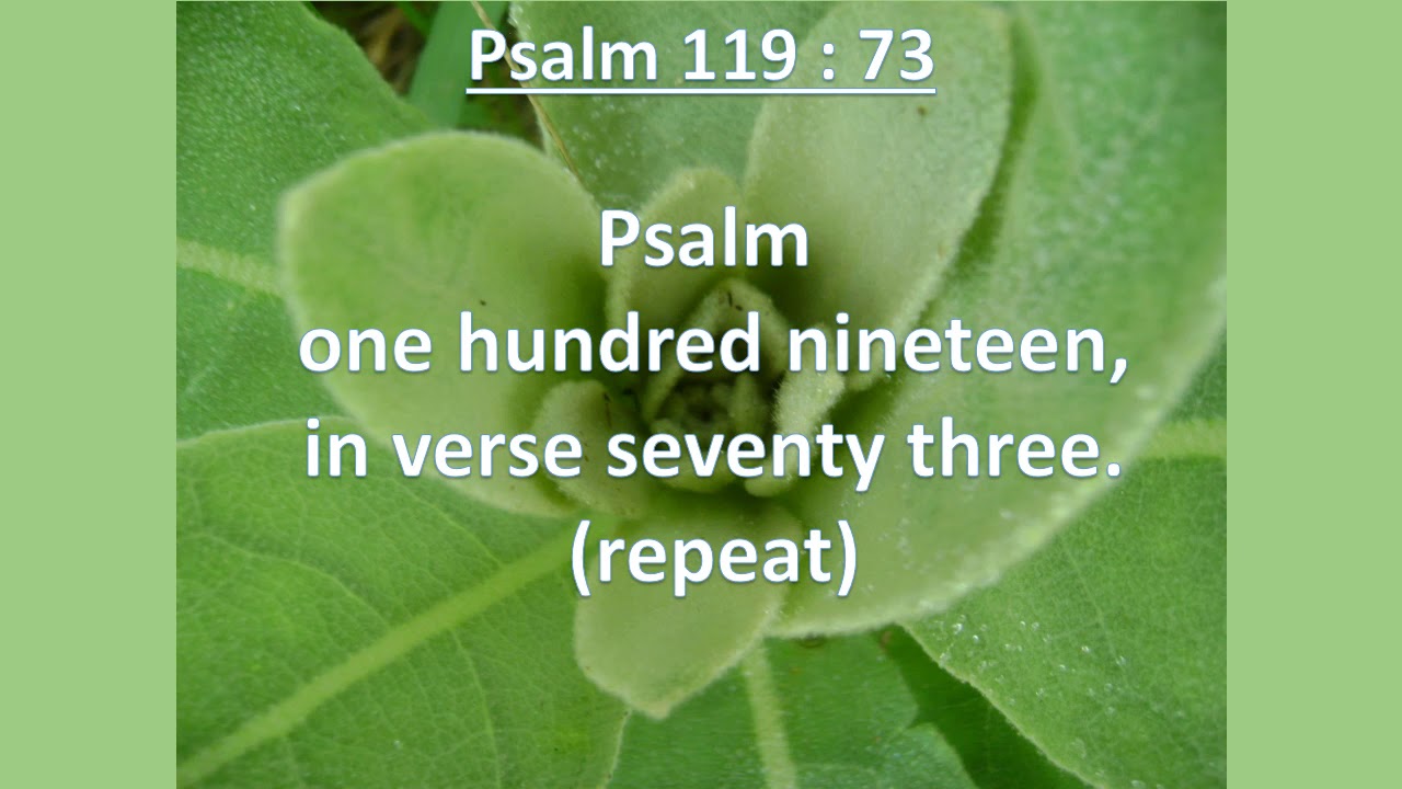 Psalm 119 73 Thy Hands Have Made Me And Fashioned Me KJV Singalong W psalm-119-73-thy-hands-have-made-me-and-fashioned-me-kjv-singalong-w