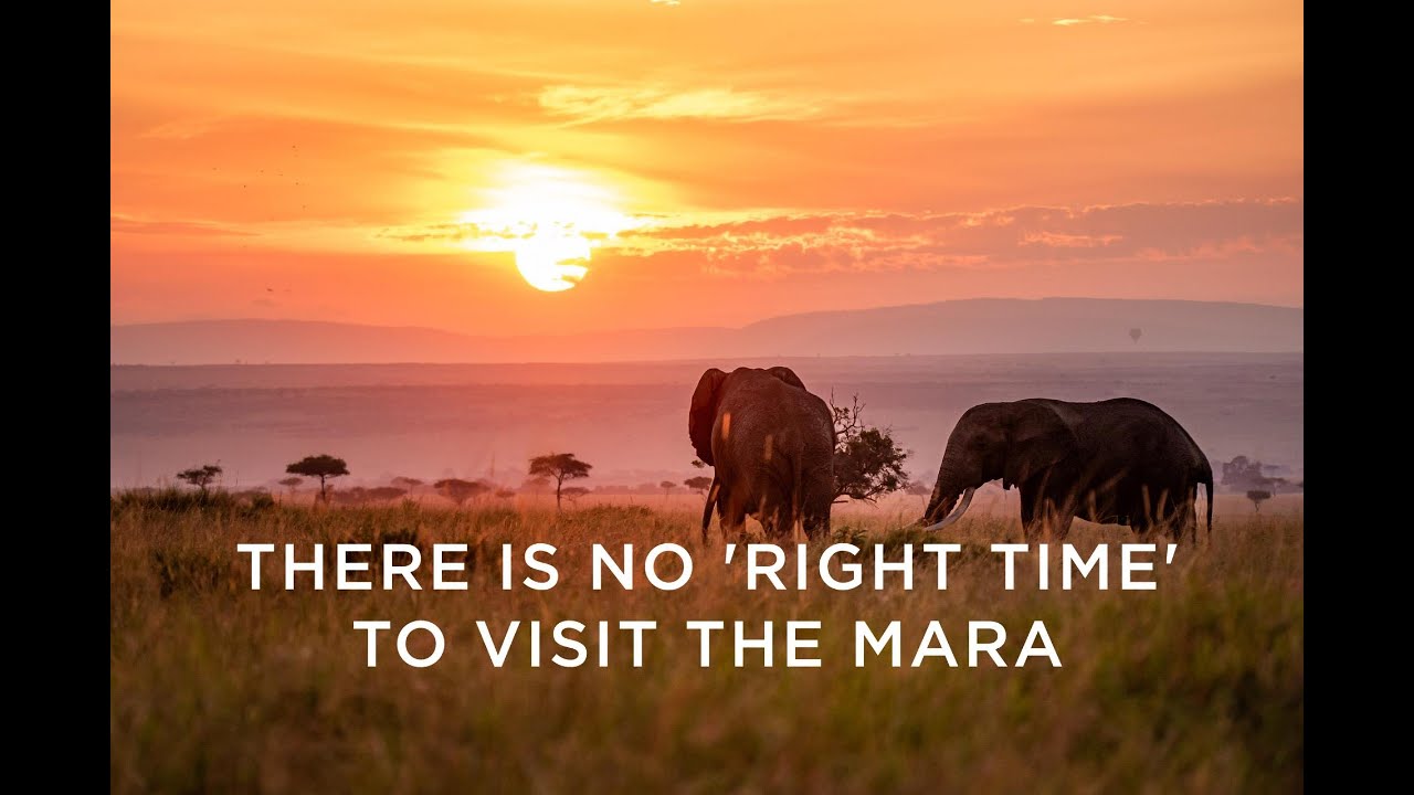 Why the Mara is Perfect All Year Round - YouTube