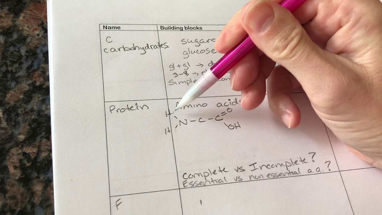 Building blocks of nutrients - YouTube