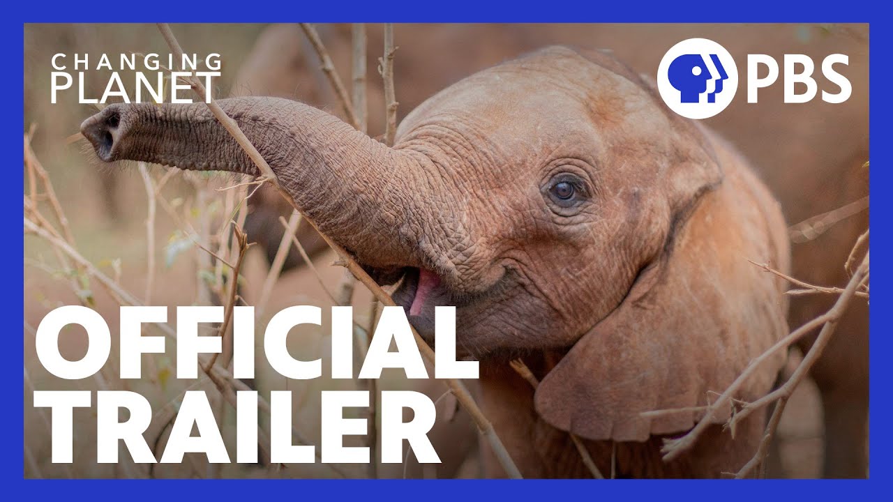 Changing Planet | Official Trailer | PBS - YouTube
