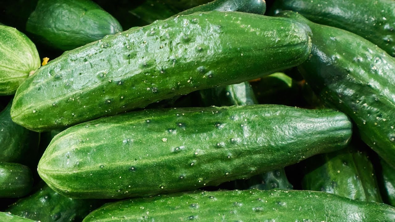 DIVOVSKI rast krastavaca uz ovaj recept! Moraš isprobati - YouTube