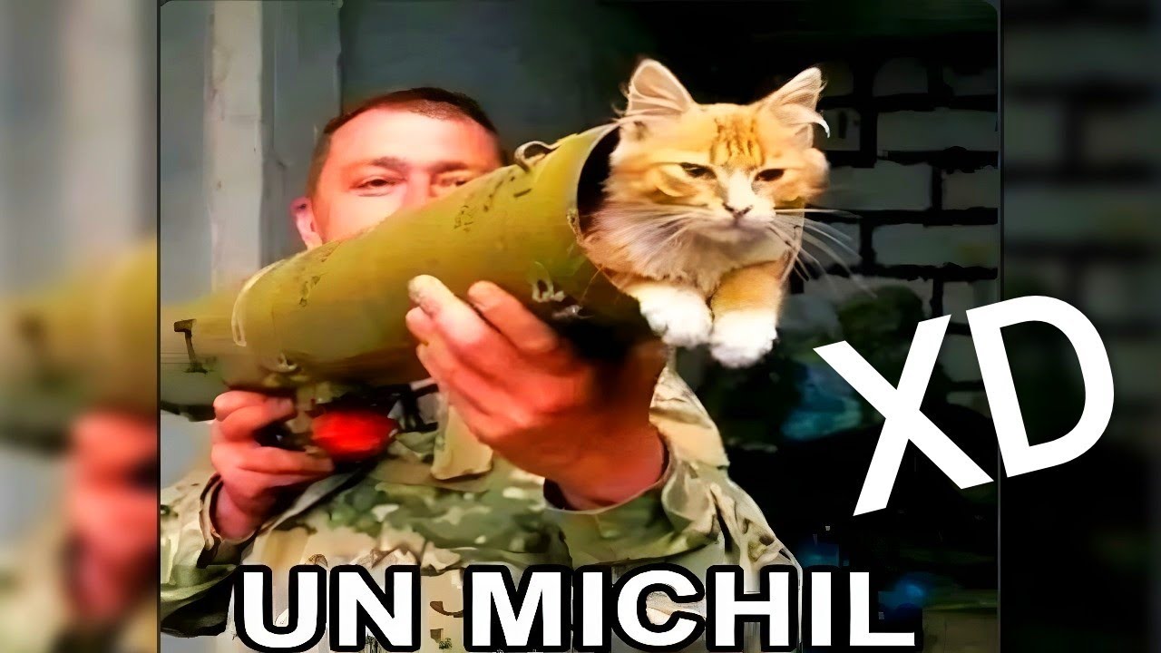 SI TE RIES PIERDES #65| MOMENTOS XD - YouTube