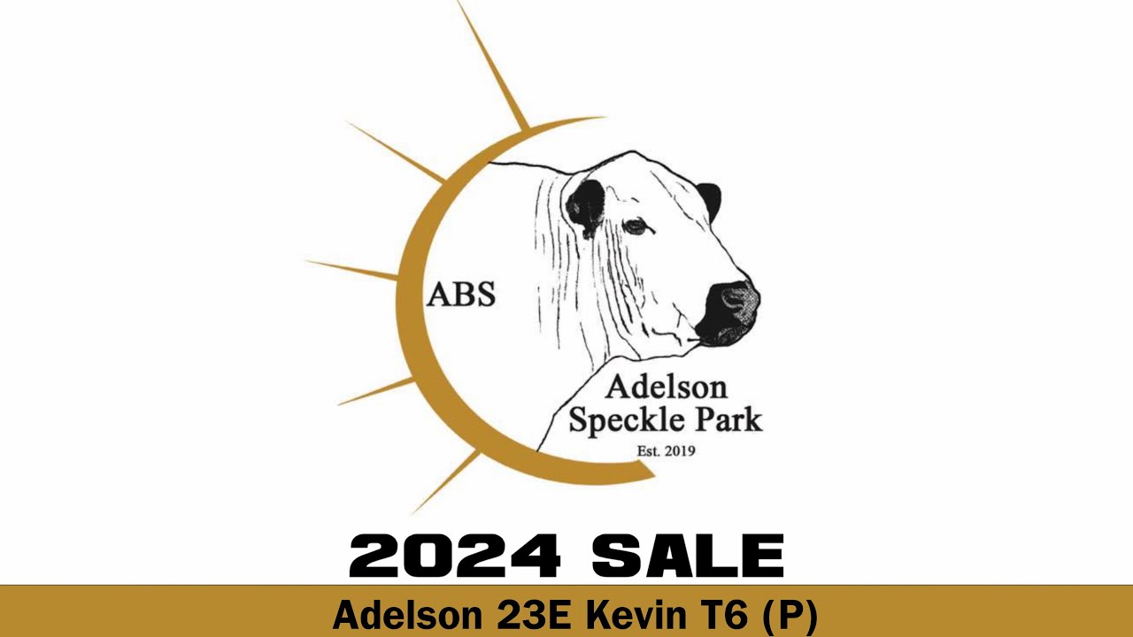 Adelson 23E Kevin T6 (P) - YouTube