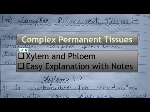 Complex Permanent Tissues ||Prop. ||Xylem and Phloem with their types ...