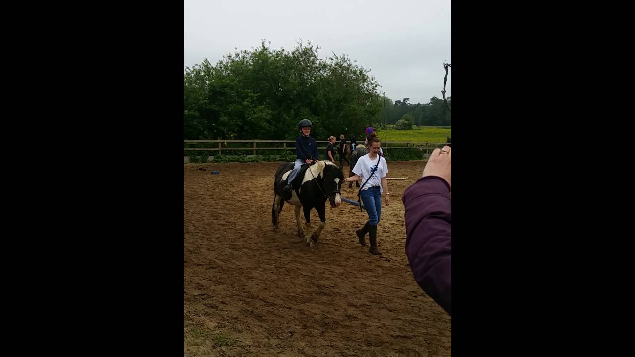 Riding lesson little ranch riding school Flitwick bedfordshire June ...