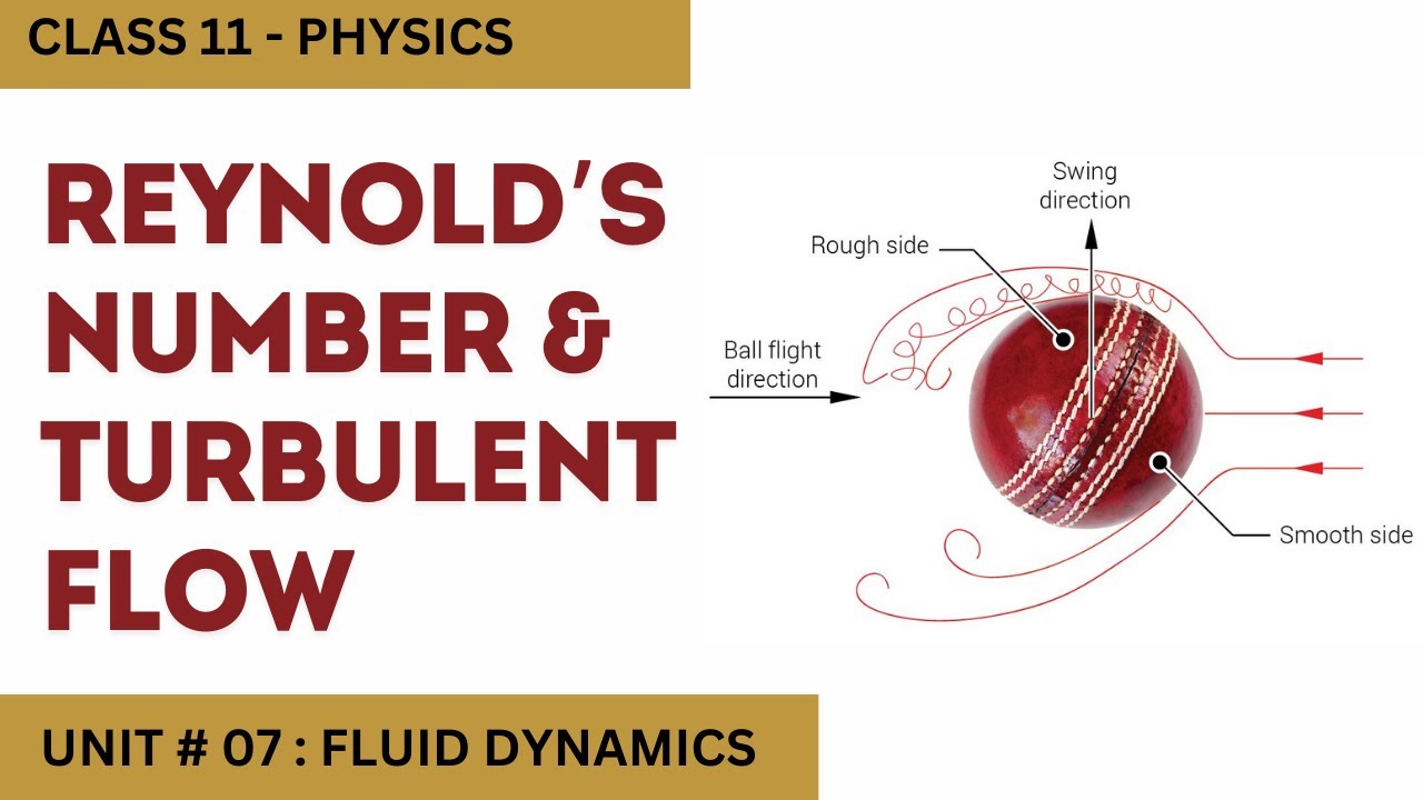 Reynolds Number and Turbulent Flow| Unit 7 Fluid Dynamics| Class 11 ...