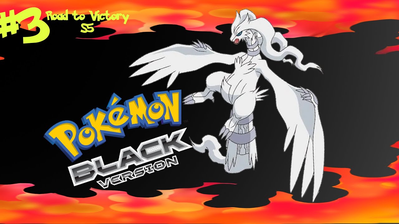 Pokemon Road to Victory S5 E3 In the Middle of Town!? - YouTube