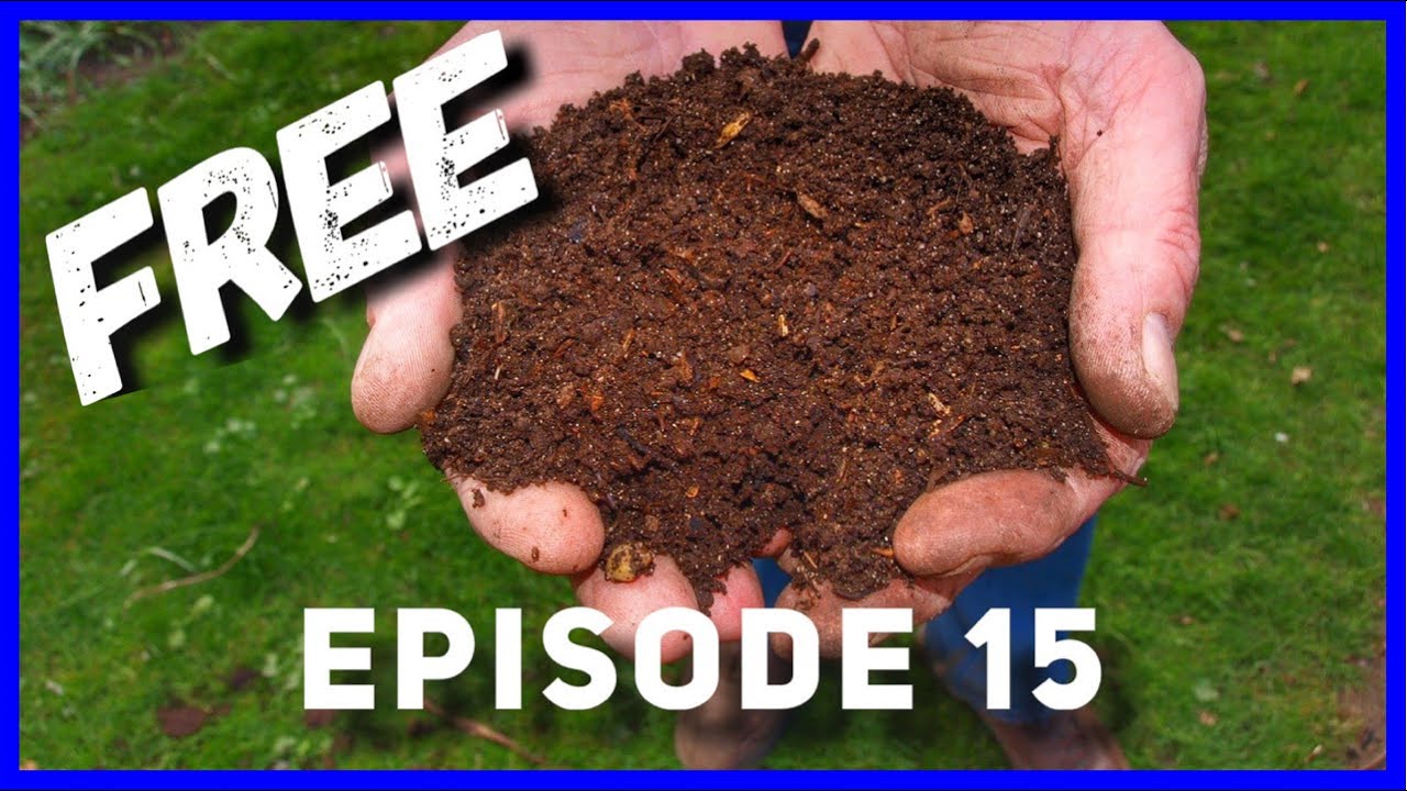 Free Compost Starter (Quick & Easy) - YouTube