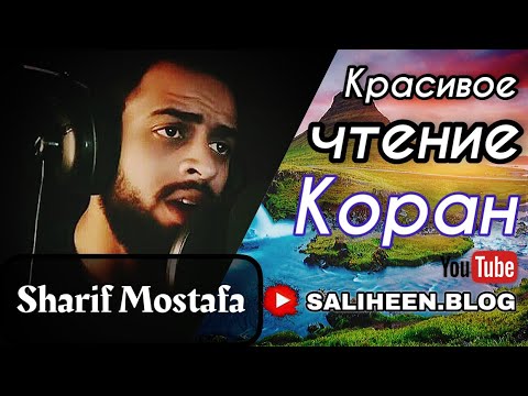 SHARIF MOSTAFA. КРАСИВОЕ ЧТЕНИЕ КОРАН. - YouTube